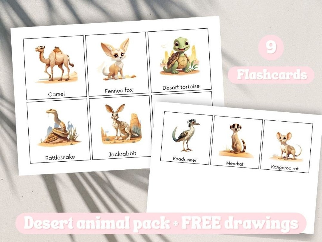 DESERT ANIMALS Flashcards Kids Flashcards Nomenclature Cards Flashcards ...