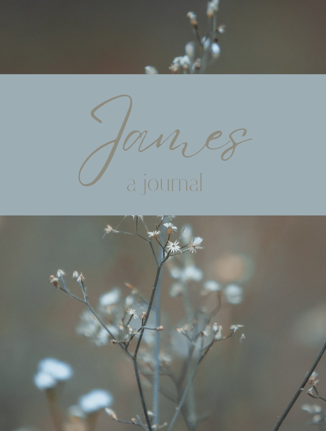 Book of James Journaling Bible Printable KJV King James Version Lined ...