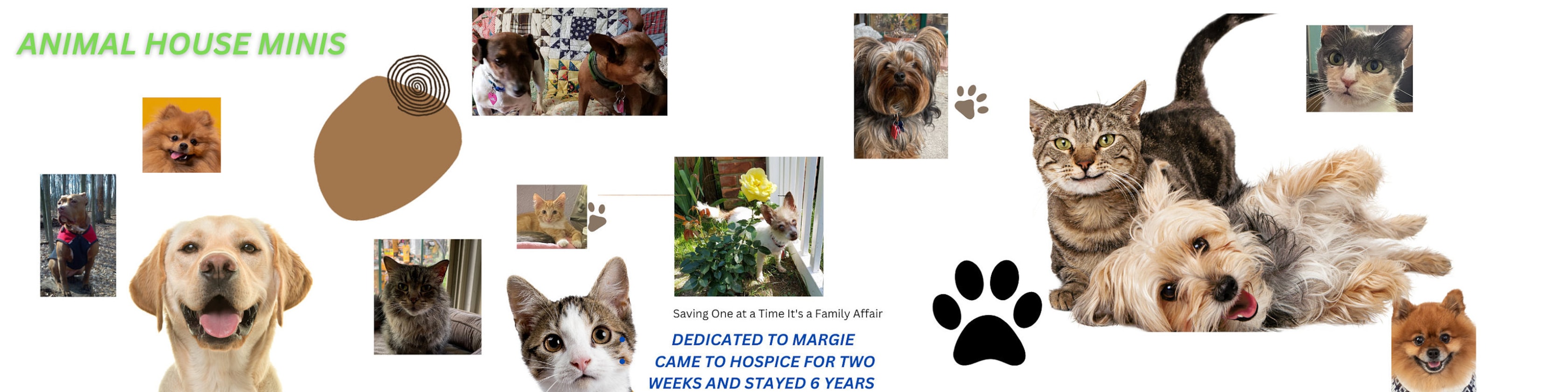 AnimalHouseMinis - Etsy