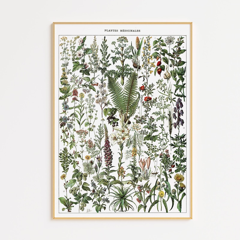 Plant Poster - Etsy