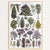 Rock Formations Chart | Digital Download | Geology Chart | Educational ...
