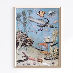 Printable Ocean Life Art Poster | Digital Download | Marine Life | Sea ...
