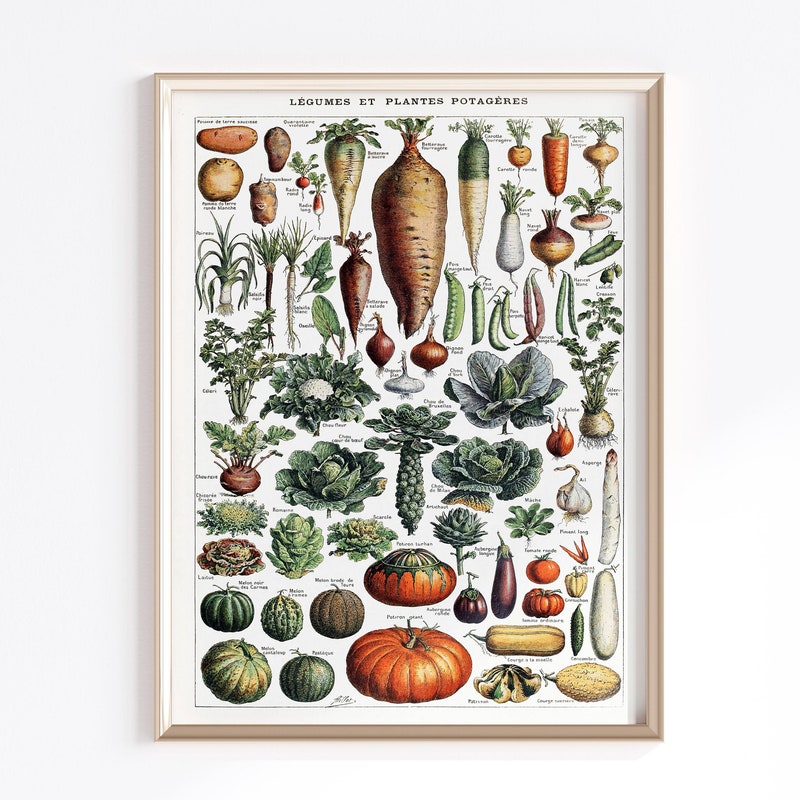 Vegetable Poster - Etsy