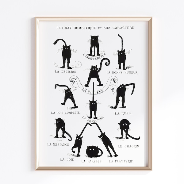 Antique French Cat Poster - Etsy