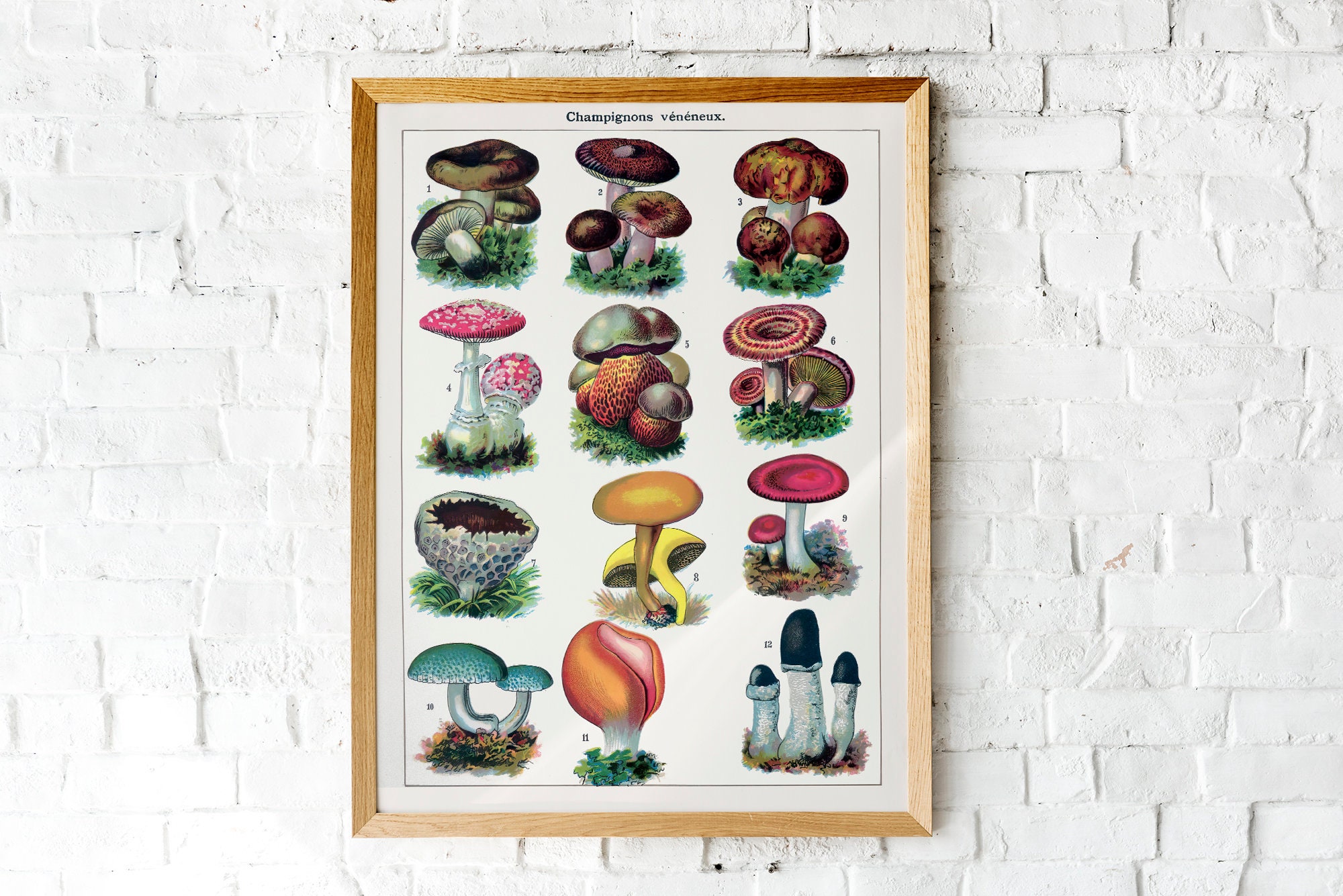 Printable Mushroom Poster Vintage Mushroom Art Print Digital Download ...