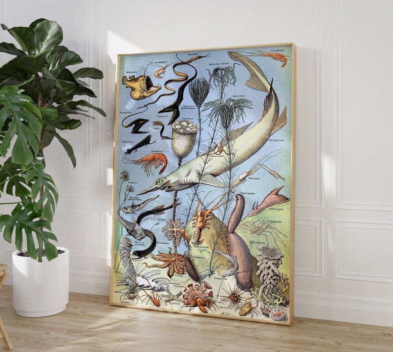 Oceanography Printable Wall Decor Adolphe Millot Digital Download ...