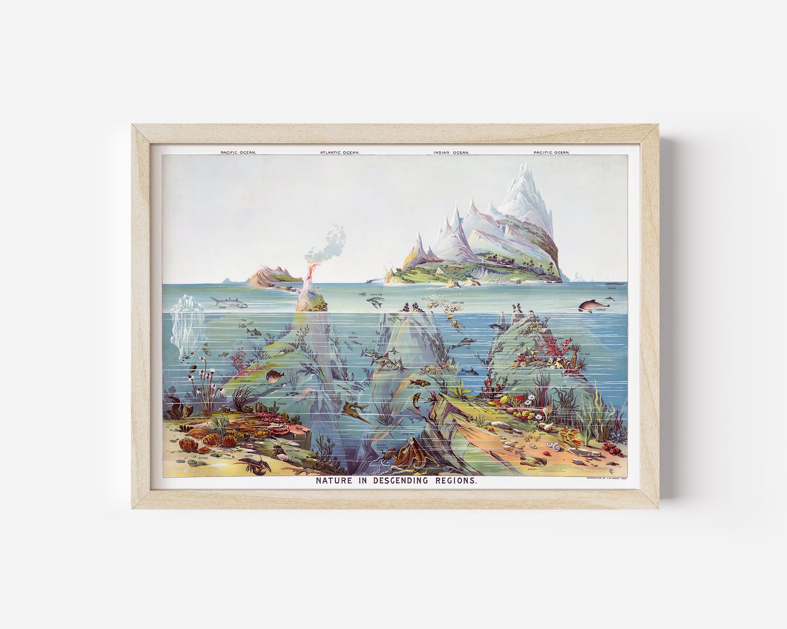 Sea Life Chart Printable Wall Art | Digital Download | Ocean Map Poster ...