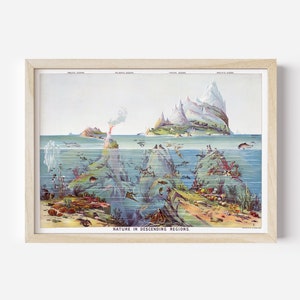 Sea Life Chart Printable Wall Art | Digital Download | Ocean Map Poster ...