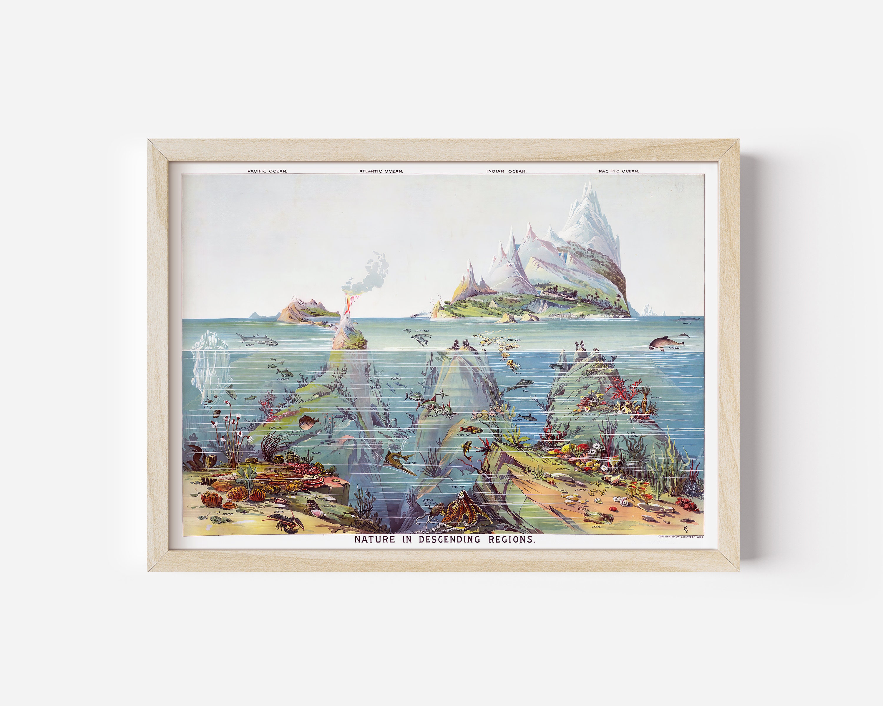 Sea Life Chart Printable Wall Art Digital Download Ocean Map Poster ...