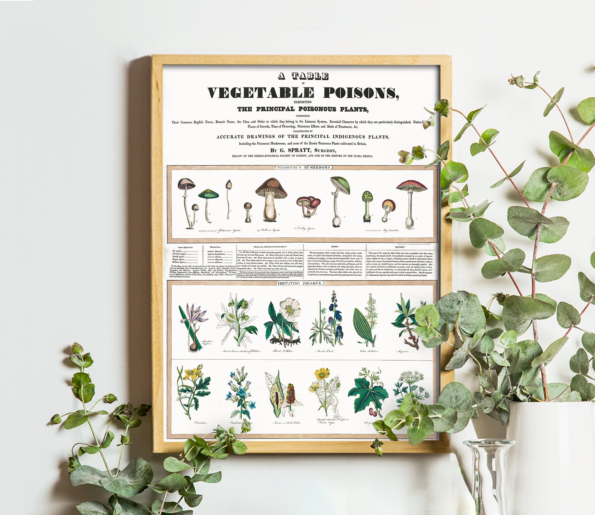 Poisonous Plants Chart Printable Digital Download Mushroom Art Prints ...