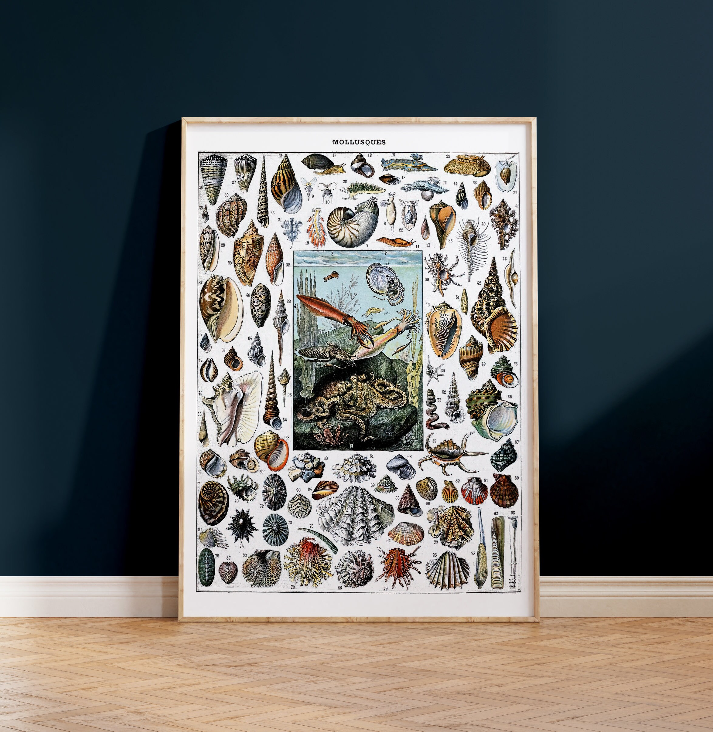 Printable Seashell Print Digital Download Vintage Sea Life Art Ocean ...