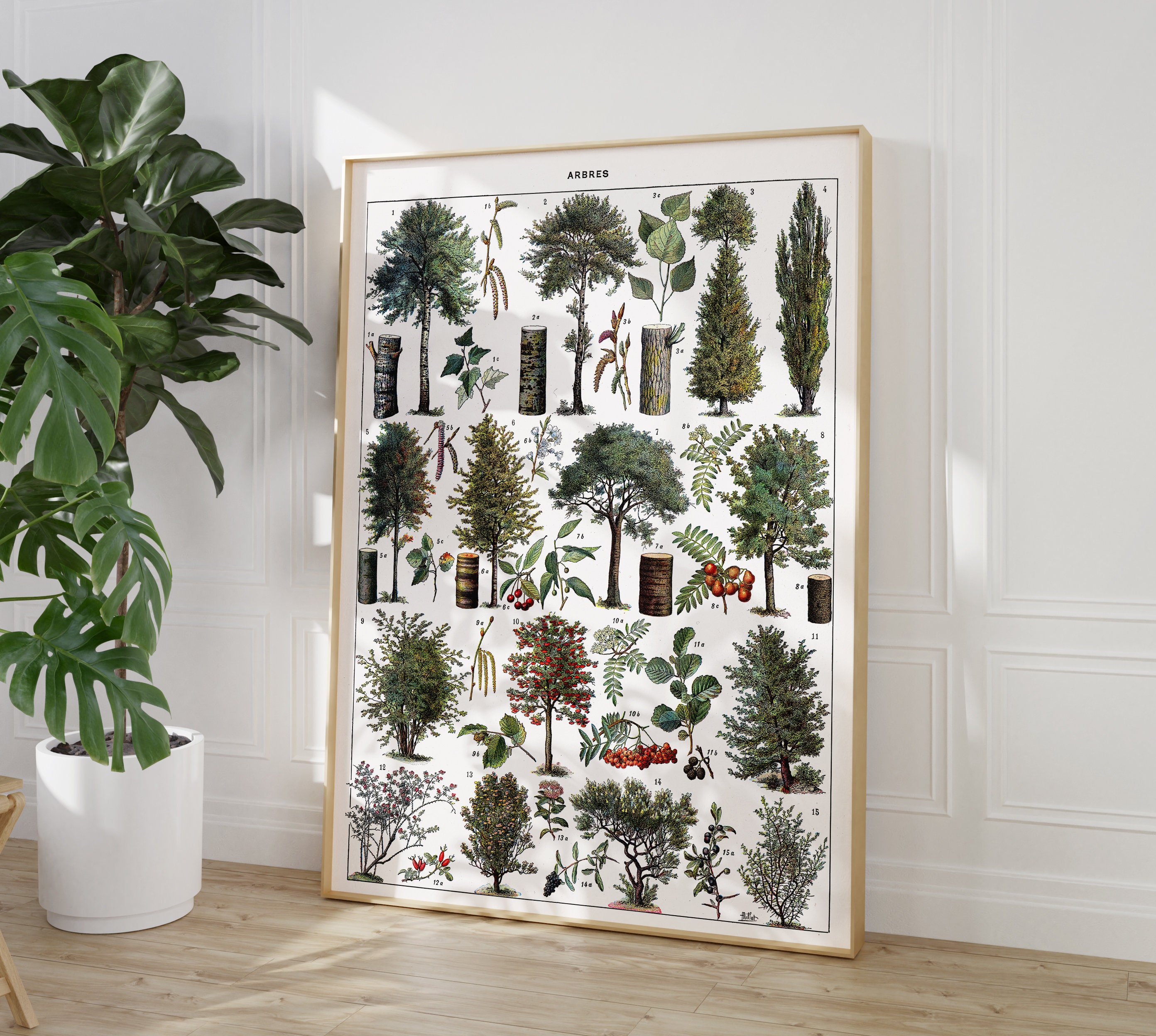 Printable Adolphe Millot Forest Poster | Digital Download | Vintage ...