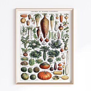 Vegetable & Fruit Print Set | Digital Download | Vegetable Poster ...
