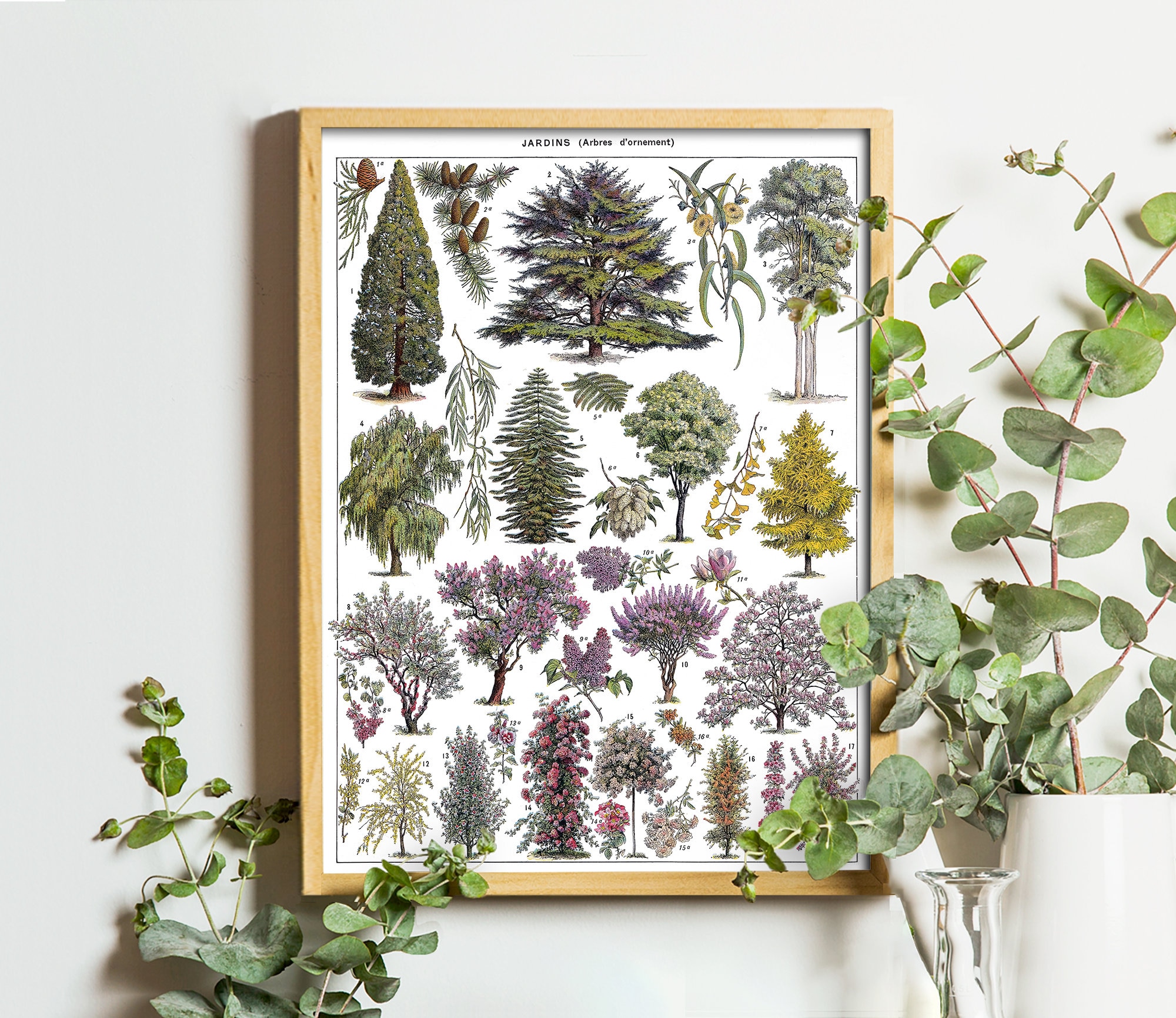 Printable Vintage Forest Poster Digital Download Tree Illustration ...