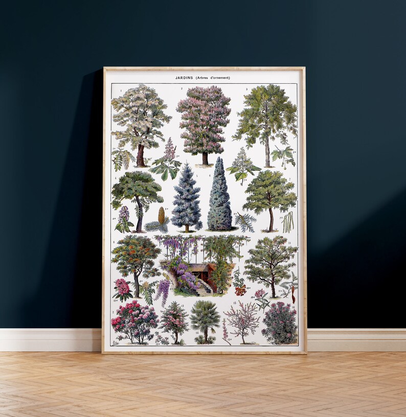 Vintage Forest Poster Digital Download Tree Illustration - Etsy