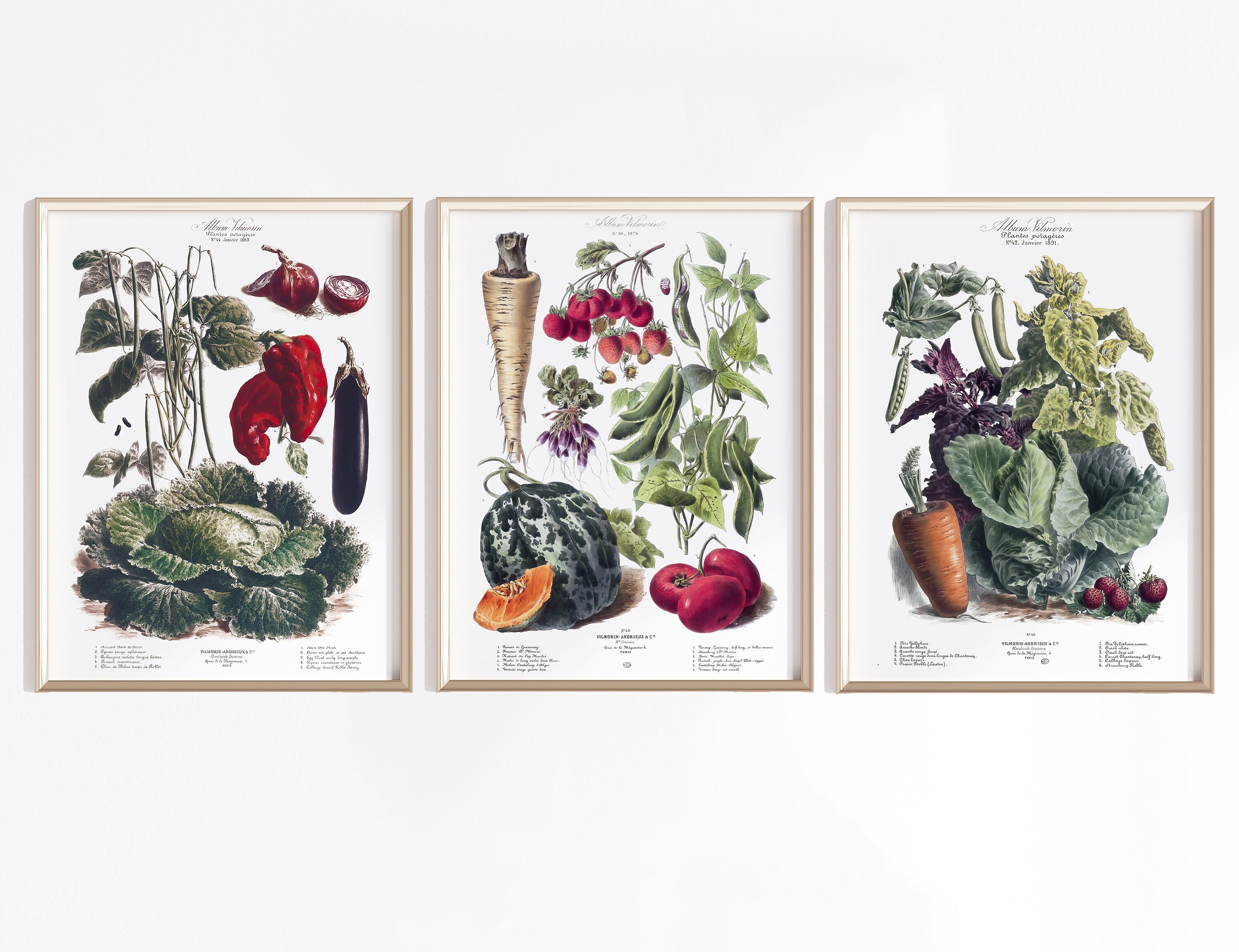 Printable Vegetable Art Set of 3 | Digital Download | Vegetable Poster ...