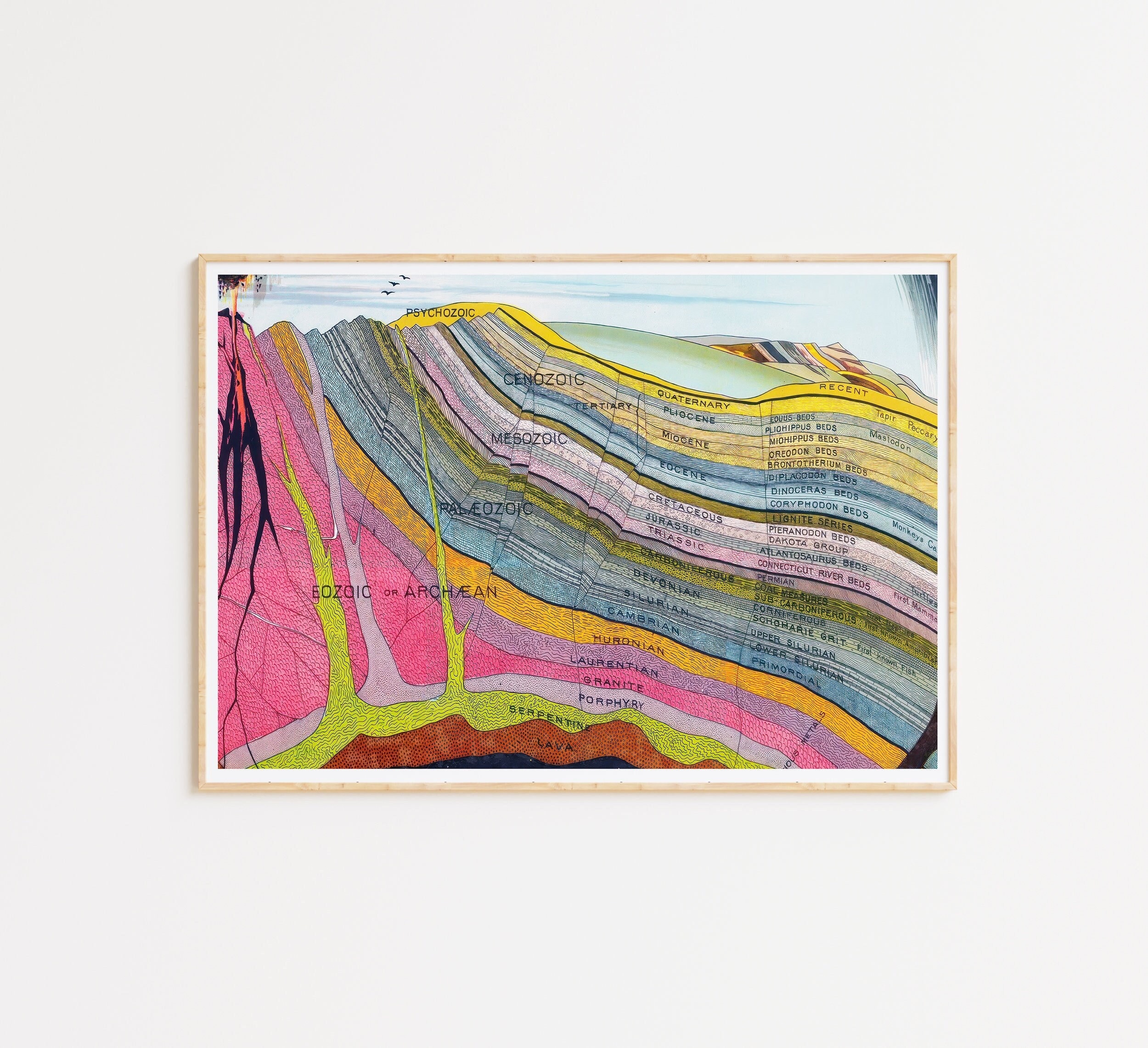 Geologie Poster grafiek afdrukbare Wall Art | Digitale download ...
