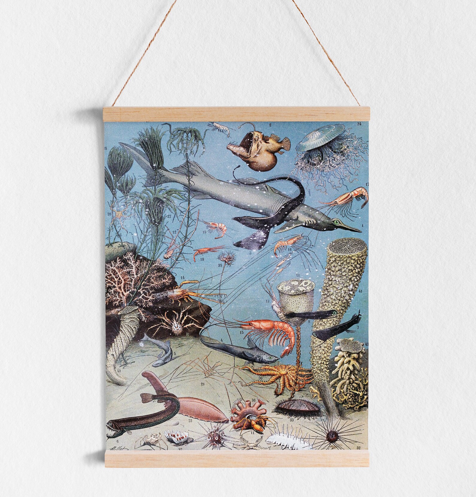 Printable Ocean Life Art Poster Digital Download Marine Life Sea Life ...