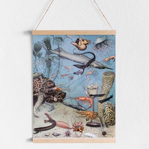 Printable Ocean Life Art Poster | Digital Download | Marine Life | Sea ...