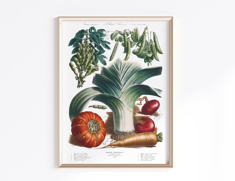 Printable Vegetable Art Set of 6 Digital Download - Etsy