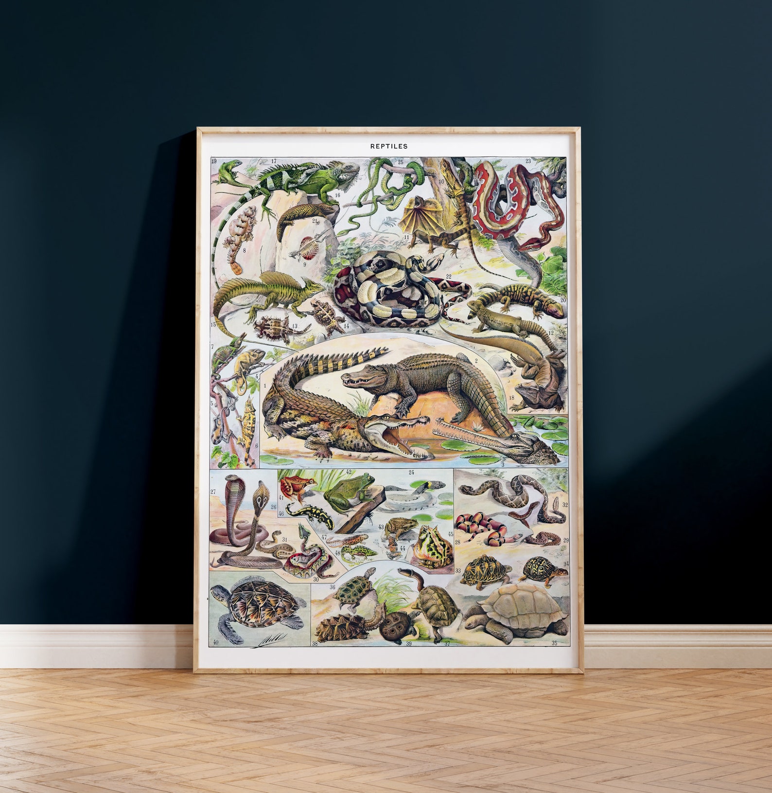 Antique Reptile Poster Printable Art Digital Download Adolphe Millot ...