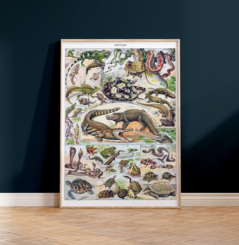 Antique Reptile Poster Printable Art Digital Download Adolphe Millot ...