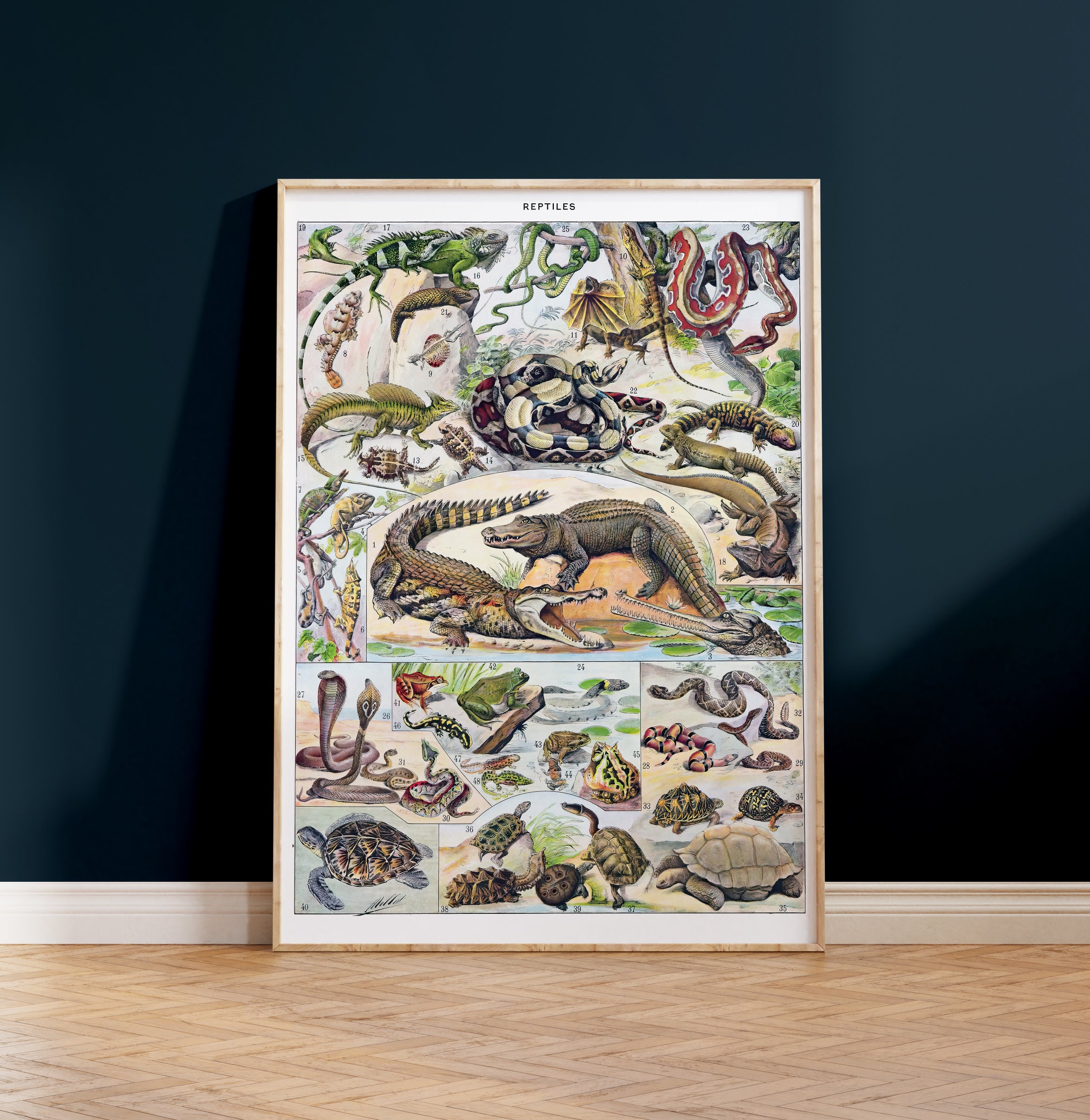 Antique Reptile Poster Printable Art Digital Download Adolphe Millot Poster Reptile Art Poster