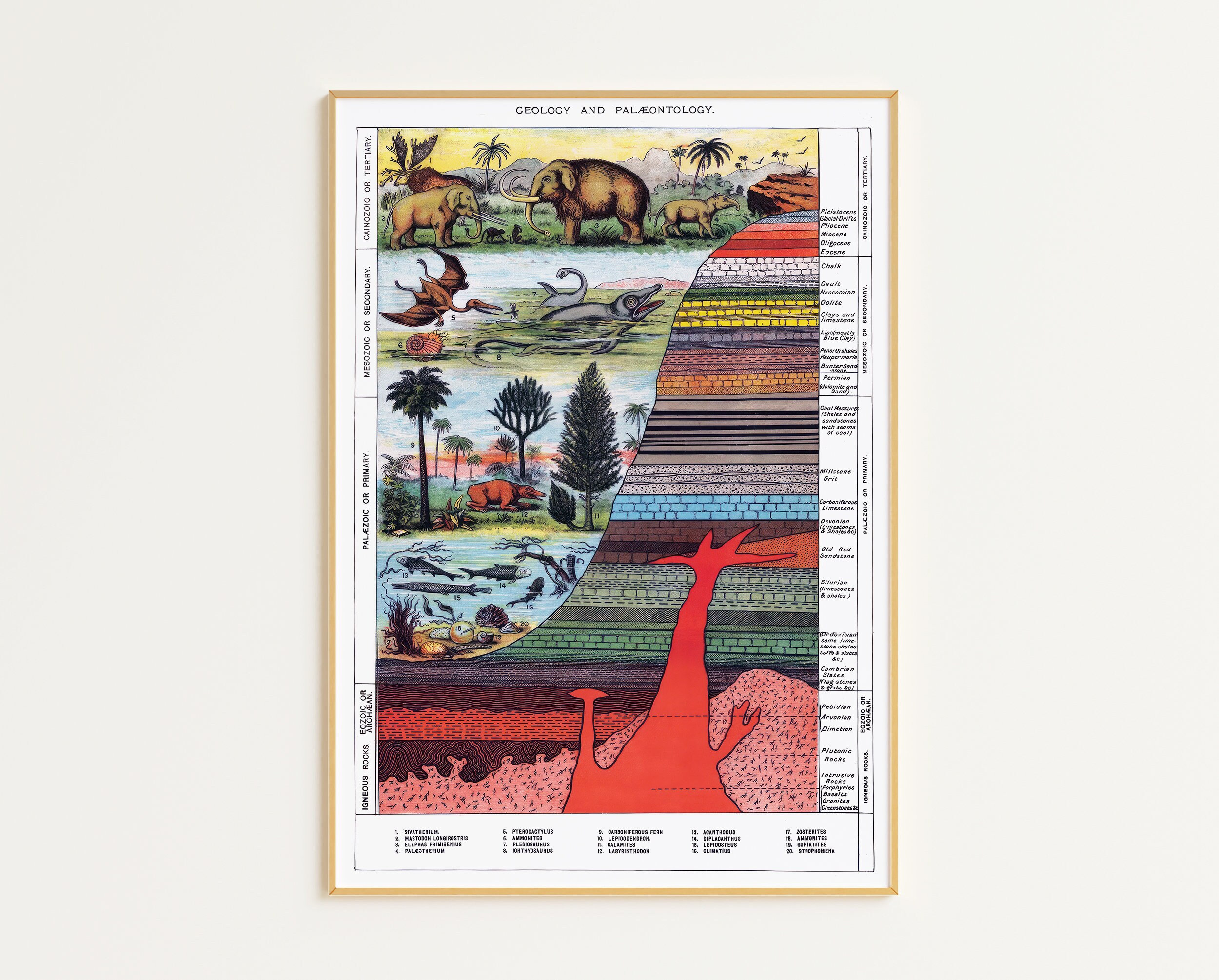 Geology and Palaentology Poster Printable Digital Download Geography ...