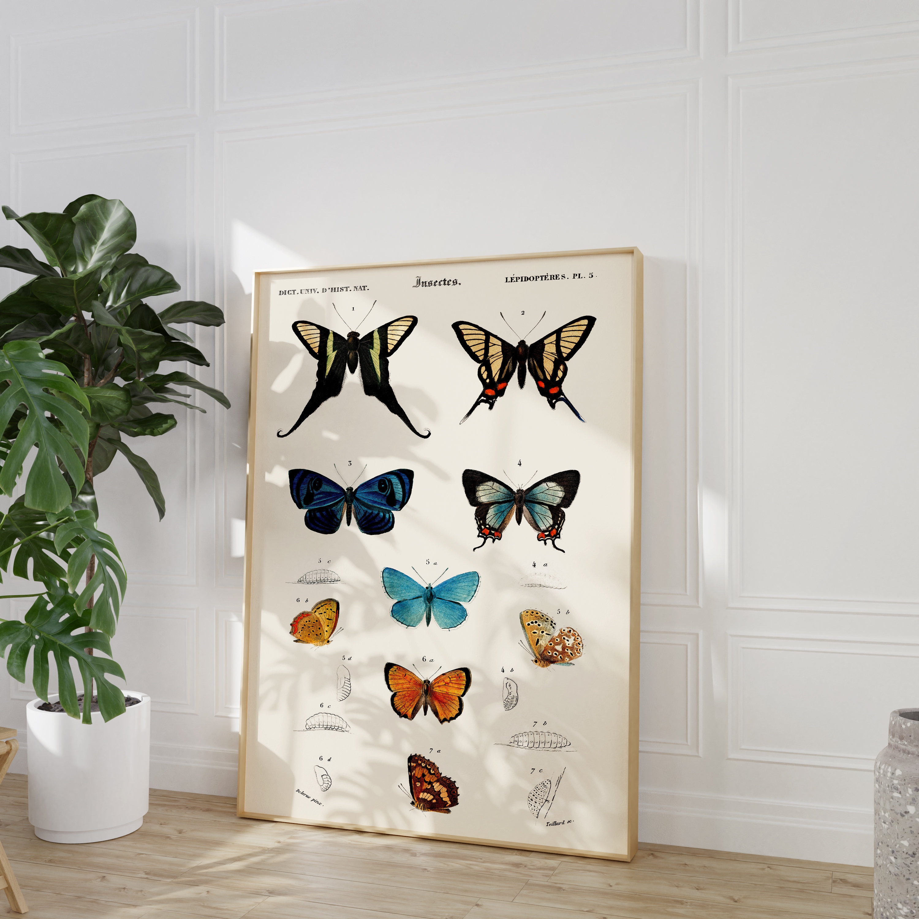 Printable Butterfly Wall Decor, Set of 3 Wall Art, Vintage Butterfly ...
