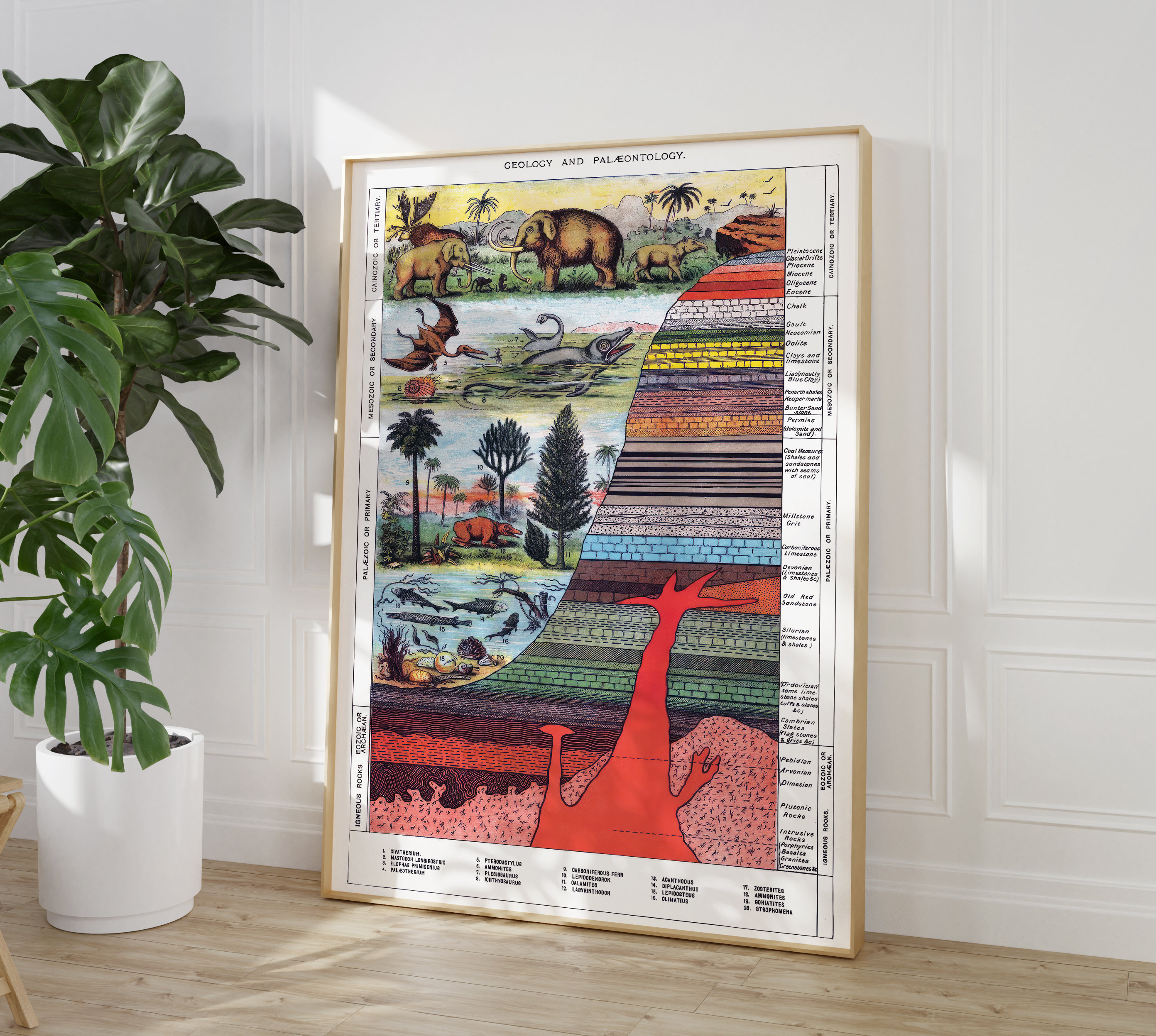 Geology and Palaentology Poster Printable Digital Download Geography ...