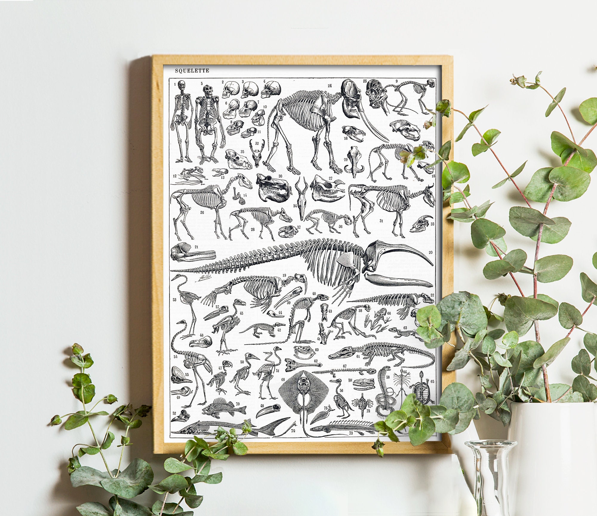 Printable Vintage Dinosaur Poster Digital Download Adolphe Millot ...