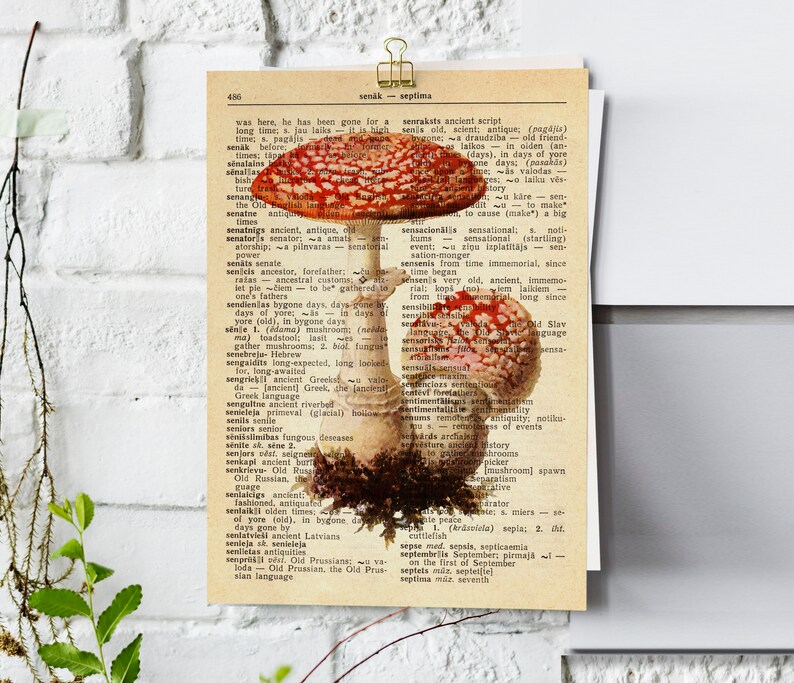 Printable | Mushroom Dictionary Print Set| Set of 3 Prints | Mushroom ...