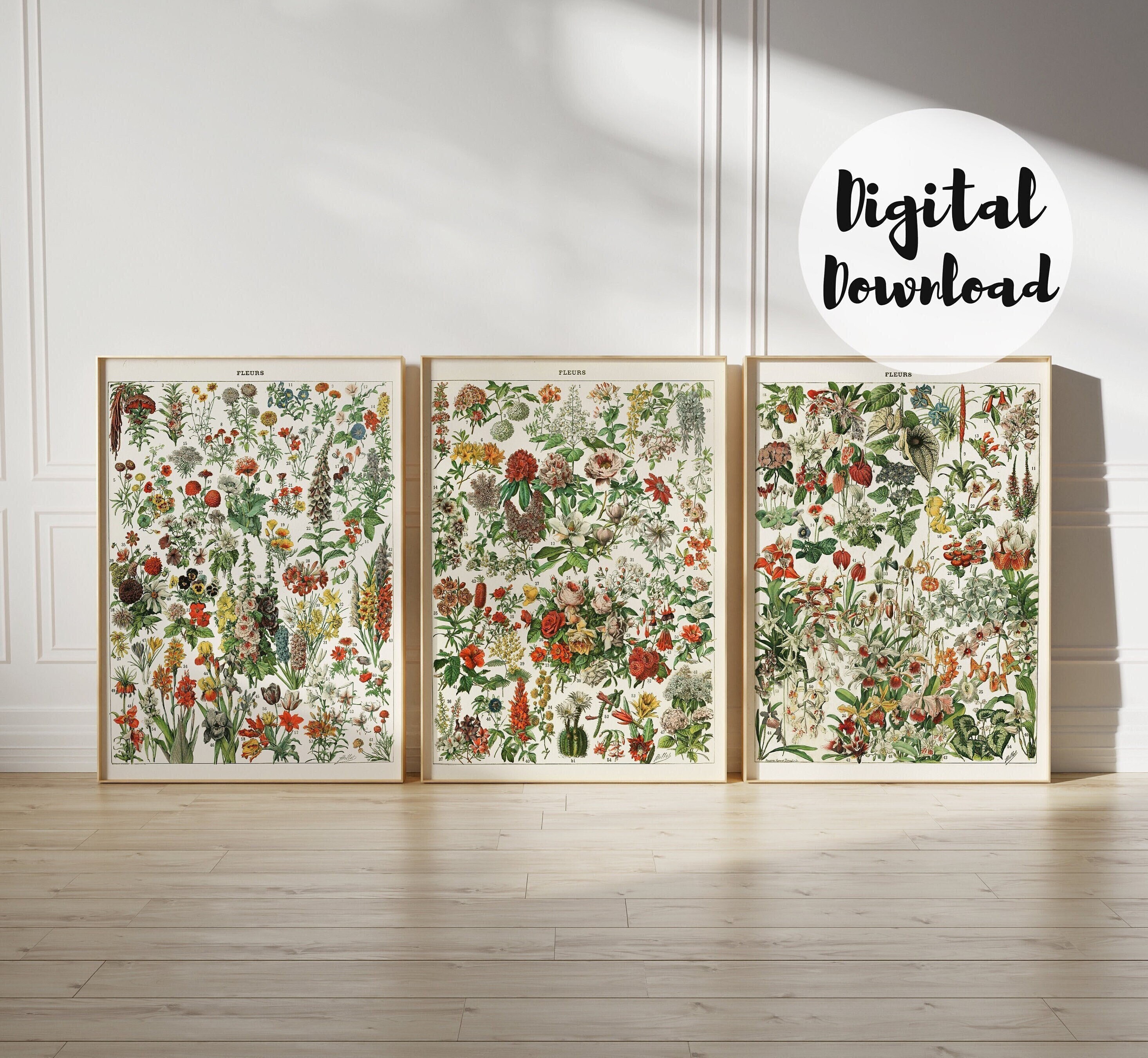 Printable Flower Wall Art, Set of 3, Flower Posters, Digital Download ...