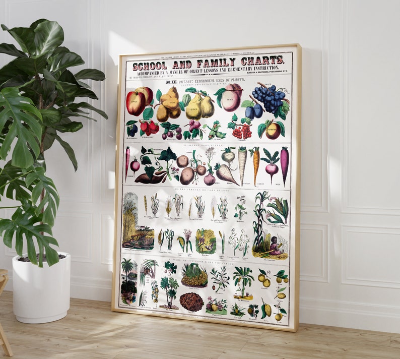 Printable Vintage Botanical Chart | Digital Download | Vintage ...