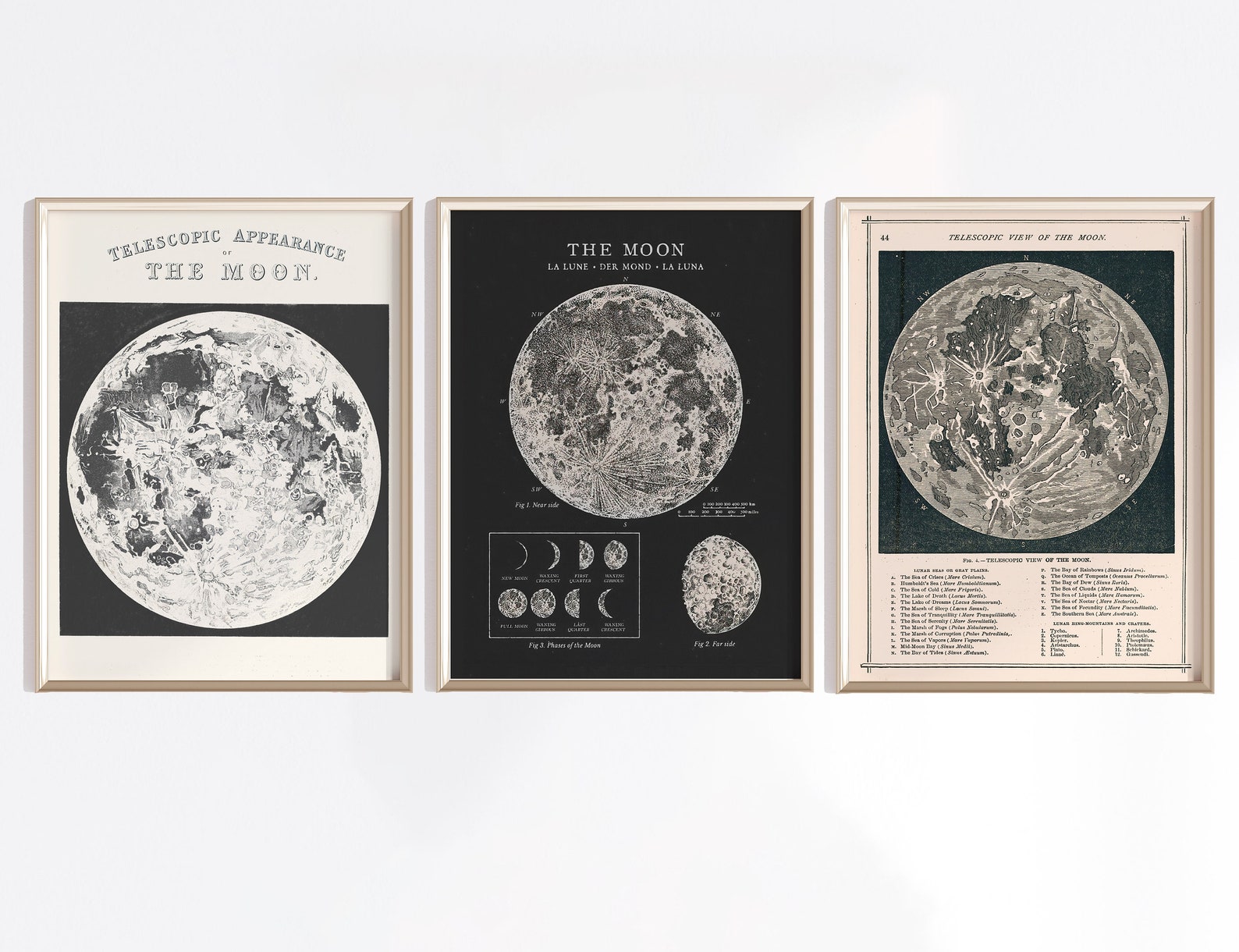 Moon Set of 3 Printable Posters Digital Download moon - Etsy