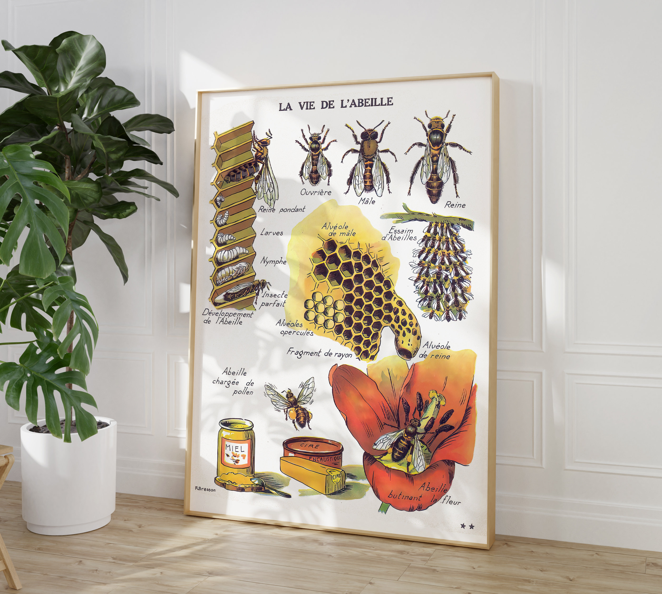 Antique Bee Art Printable | Digital Download | Bumble Bee Art Print ...