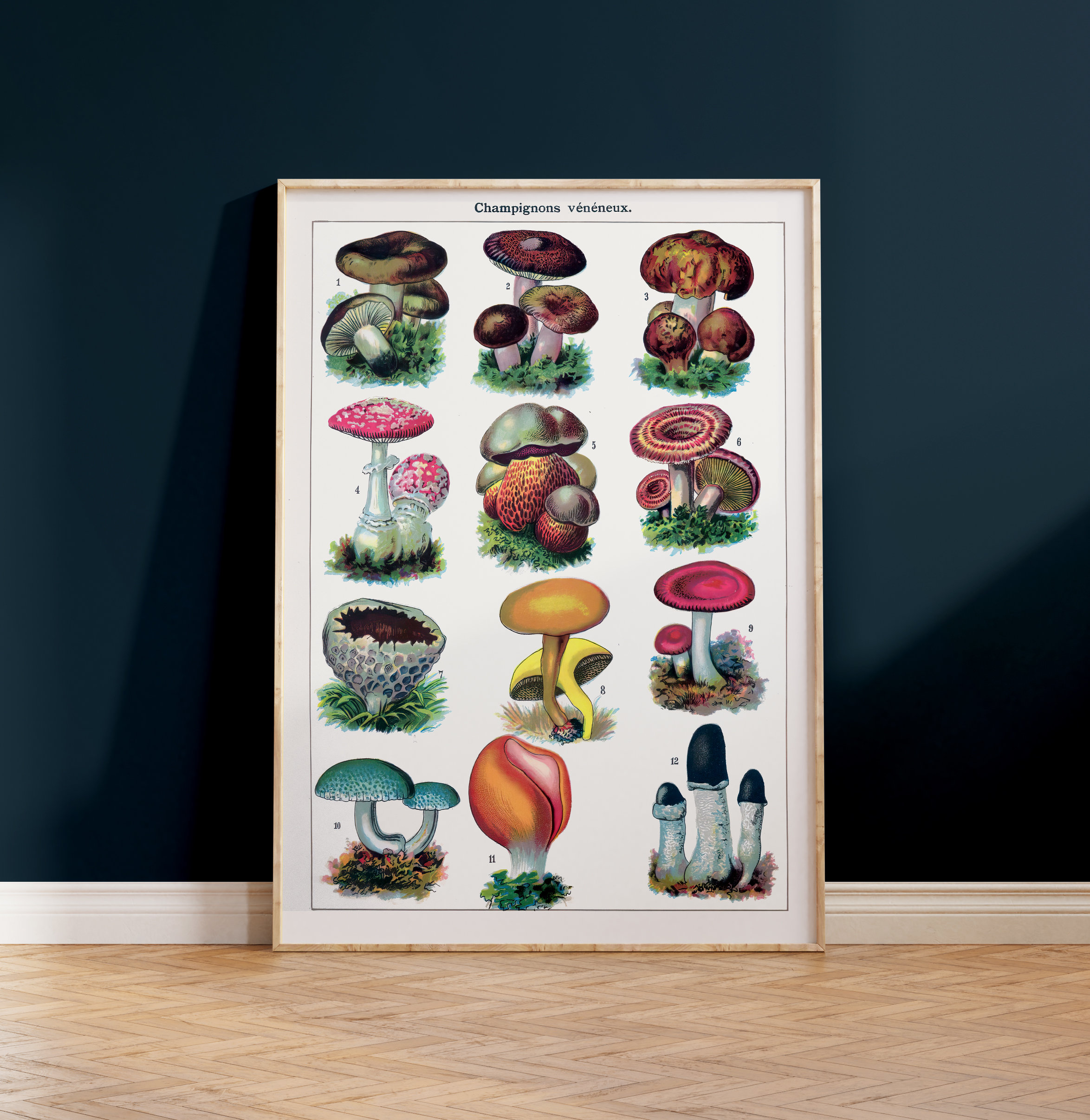 Printable Mushroom Poster | Vintage Mushroom Art Print | Digital ...