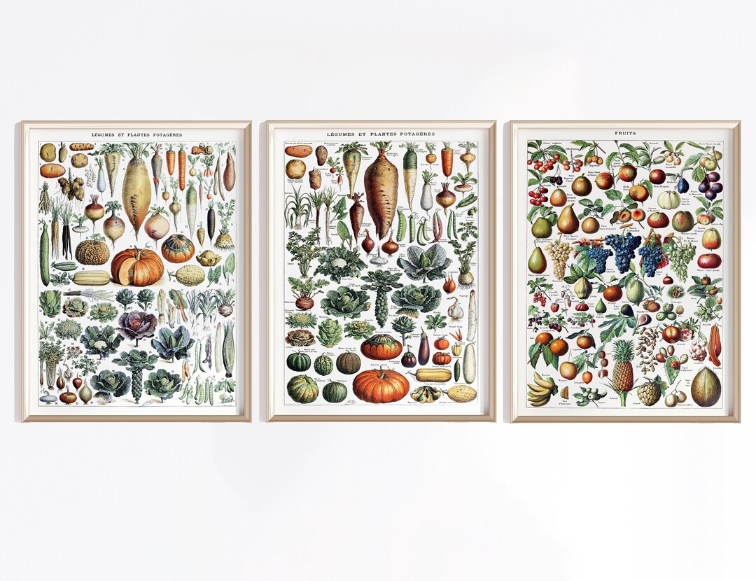 Vegetable & Fruit Print Set | Digital Download | Vegetable Poster ...