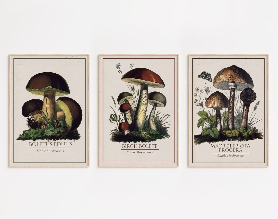 Printable Mushroom Wall Art | Digital Download | Edible Mushroom Print ...