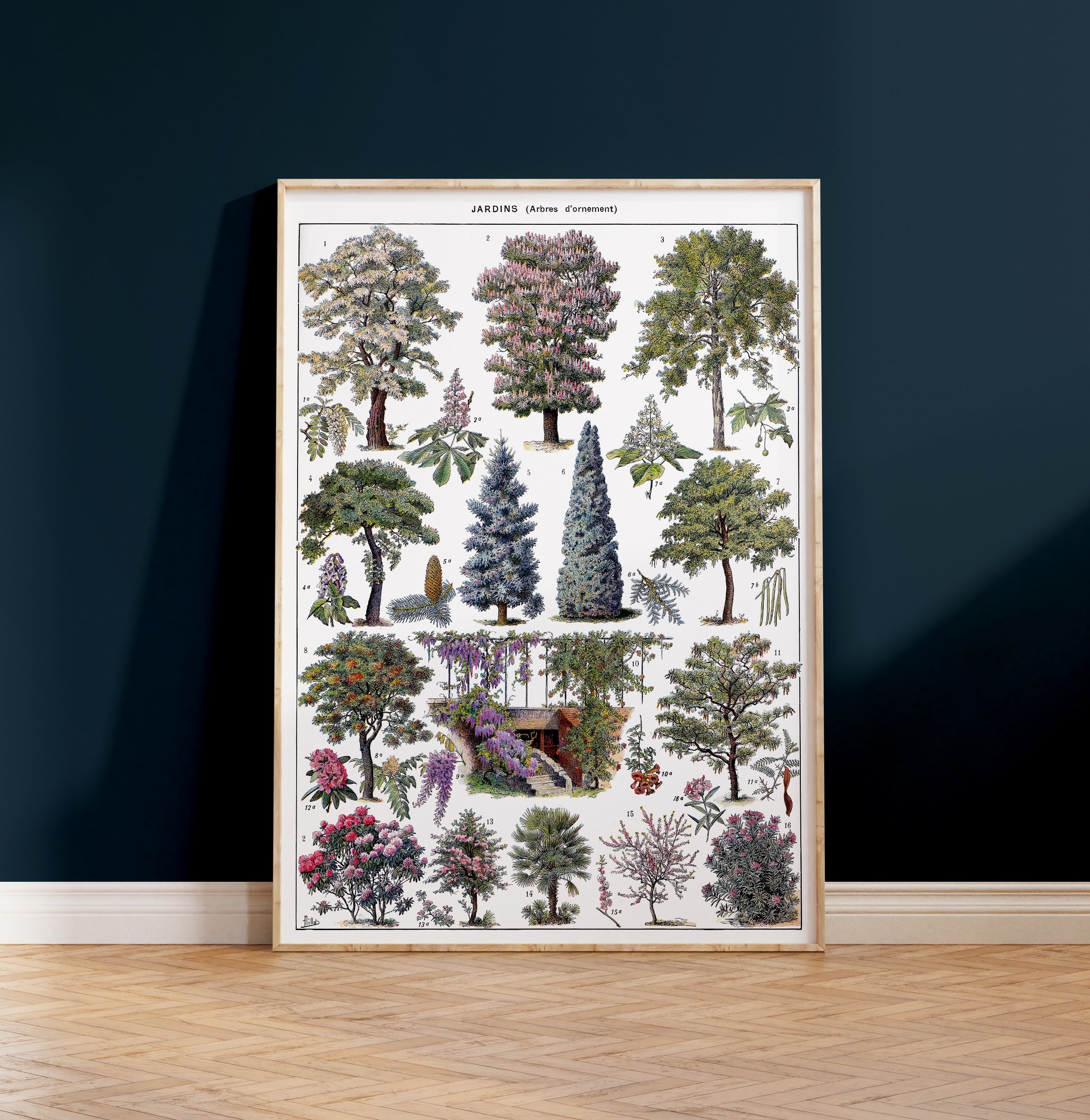 Printable Adolphe Millot Forest Poster Set of 3 | Digital Download ...