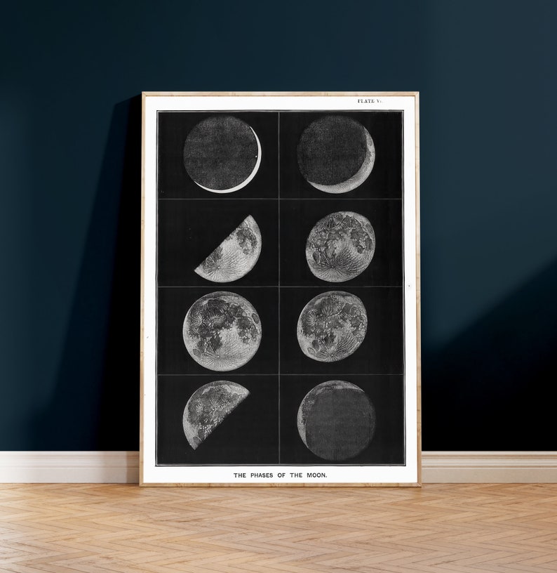 Printable Moon Phases Print Digital Download Moon Phase Poster Vintage ...