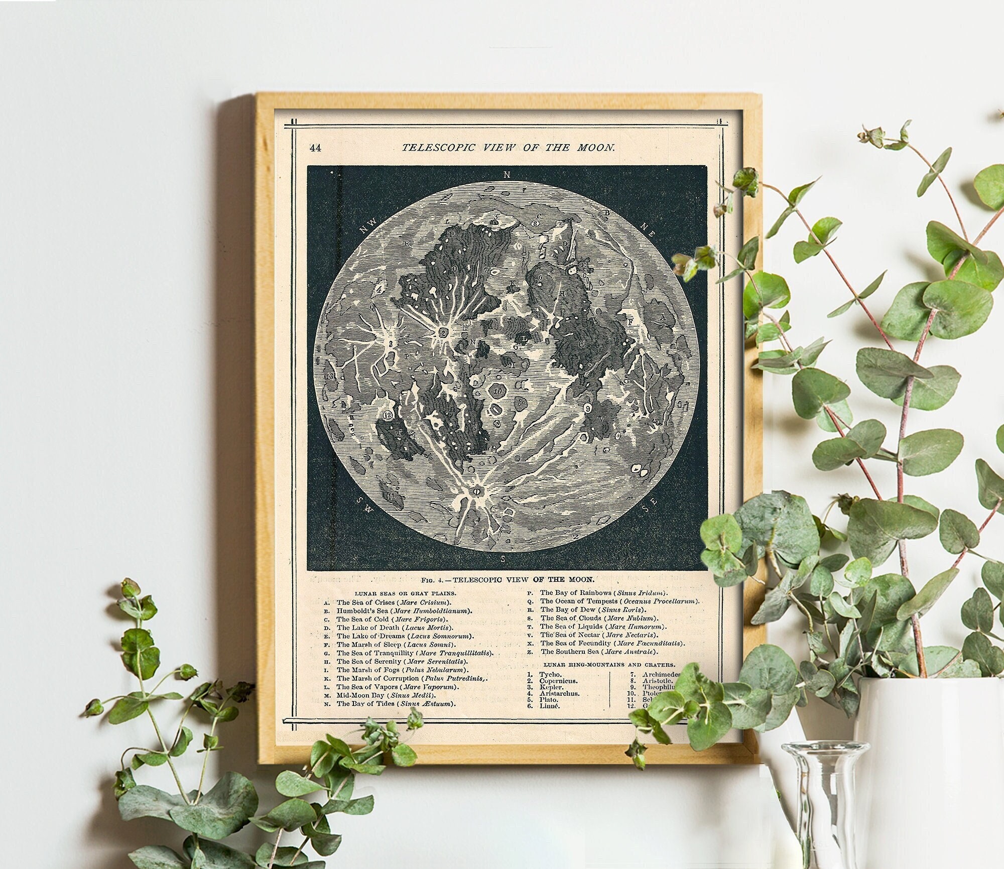 Printable Moon Map Vintage Moon Poster Astronomy Antique - Etsy Australia