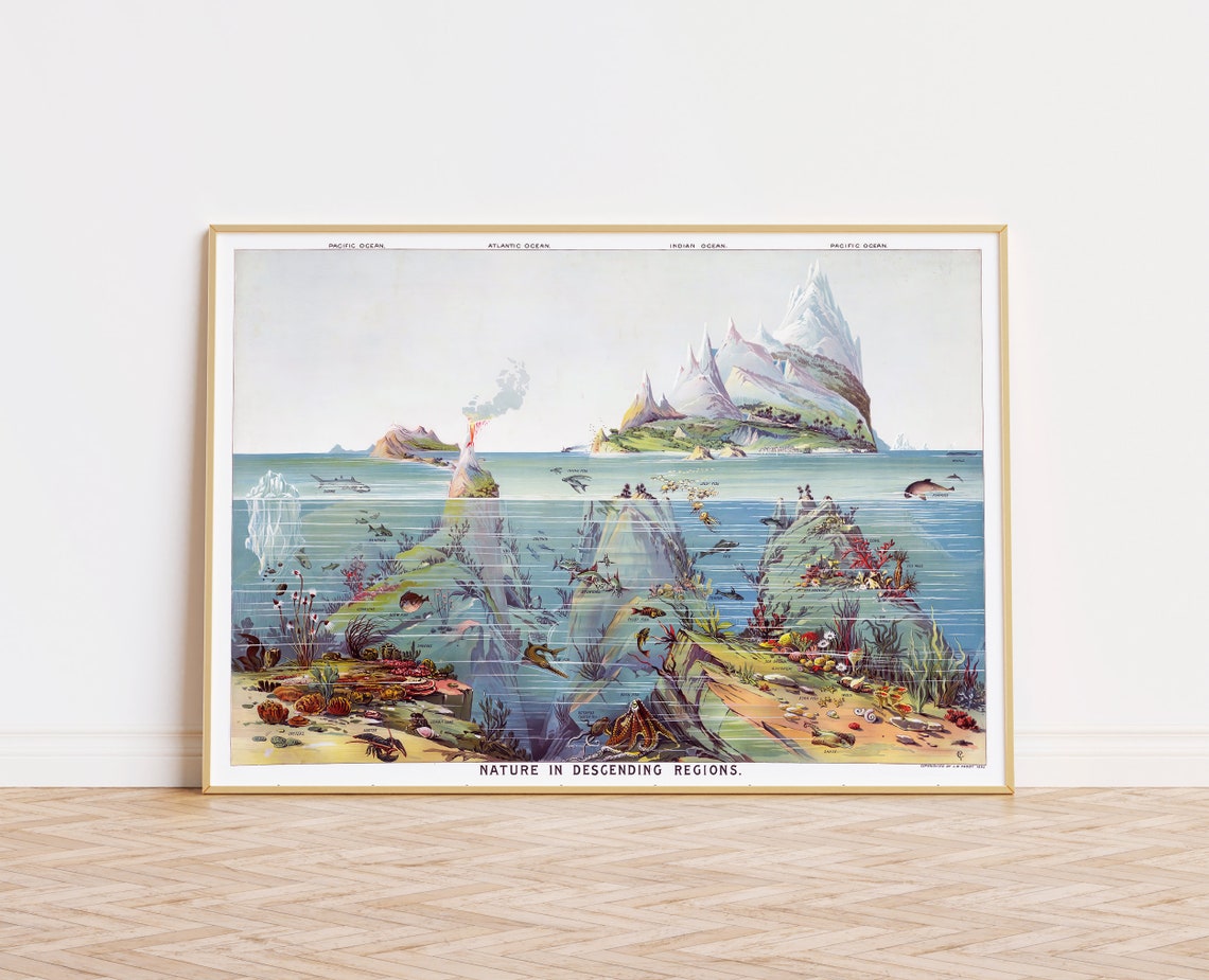 Sea Life Chart Printable Wall Art | Digital Download | Ocean Map Poster ...
