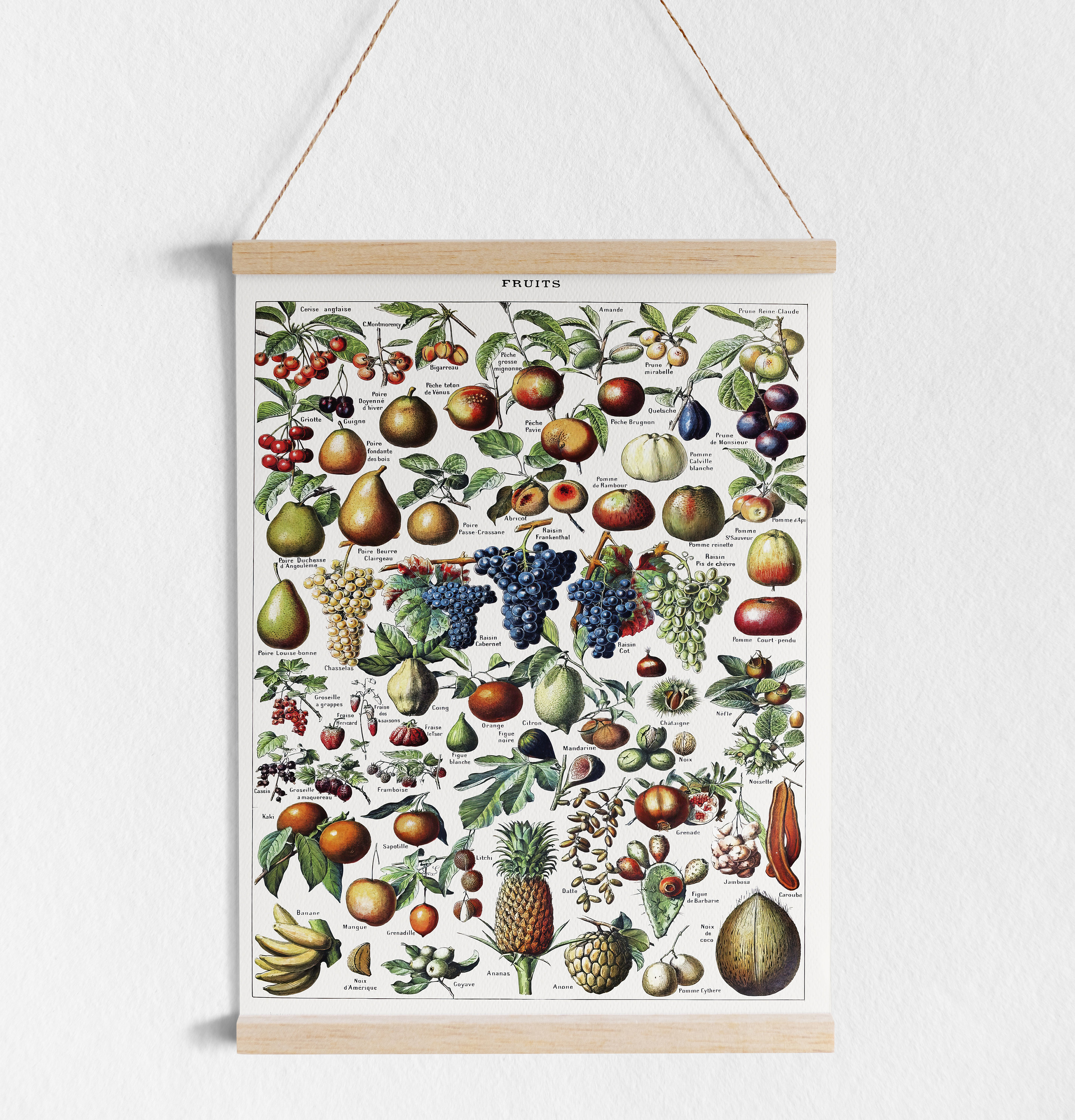 Printable Vintage Fruit Poster Digital Download Vintage Posters Wall ...