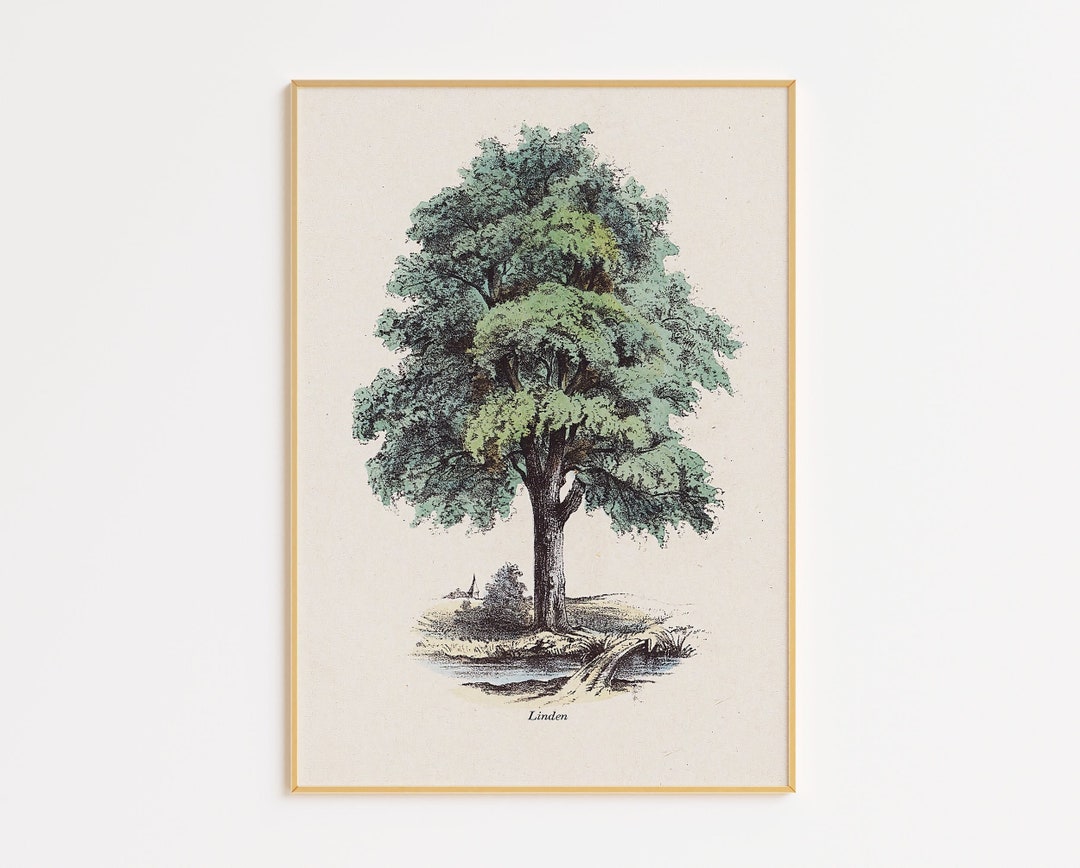 Vintage Tree Illustration Printable | Digital Print | Farmhouse Wall ...