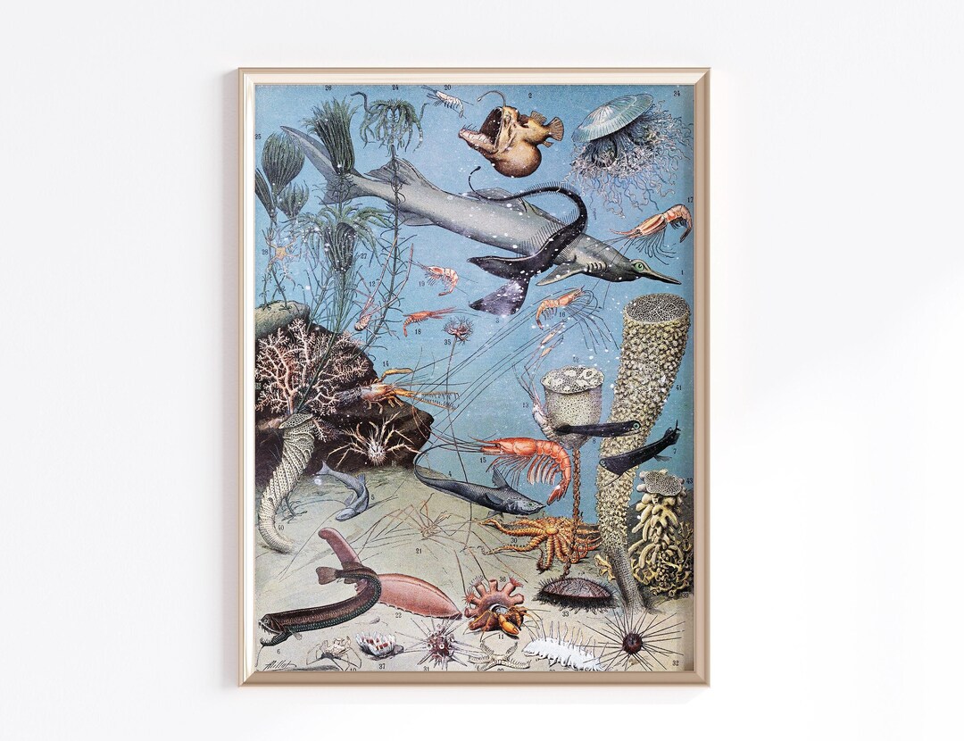 Printable Ocean Life Art Poster | Digital Download | Marine Life | Sea ...