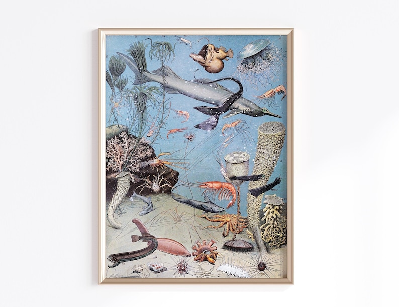 Printable Ocean Life Art Poster Digital Download Marine Life Sea Life ...