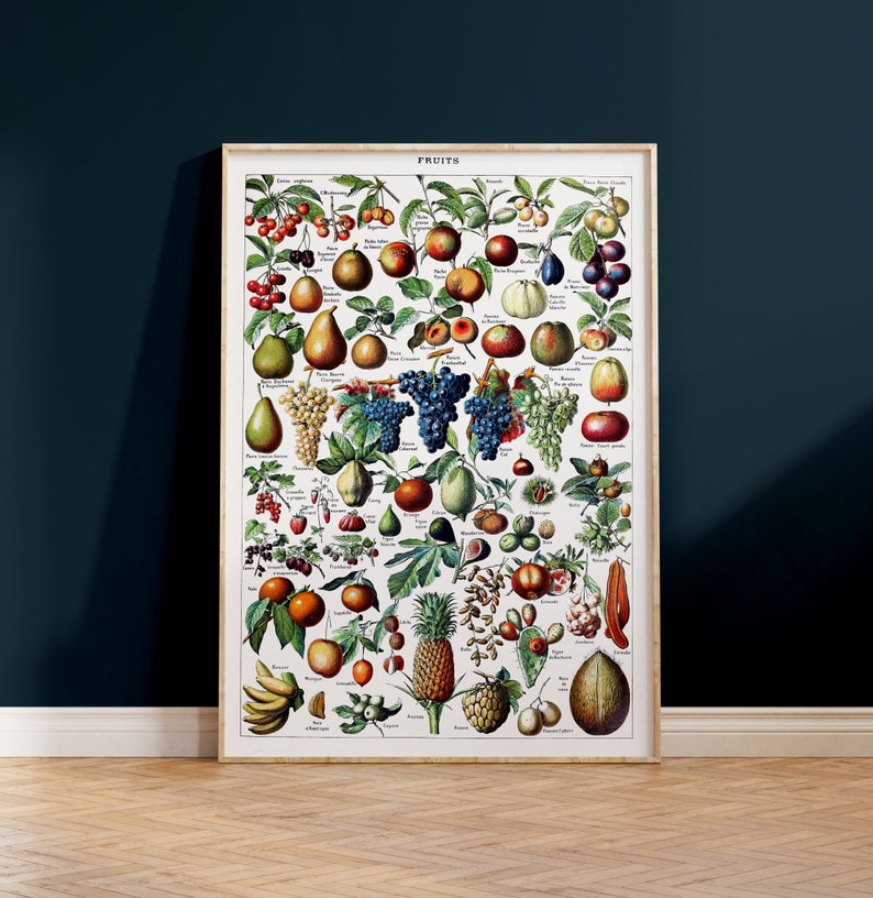Printable Vintage Fruit Poster | Digital Download | Vintage Posters ...