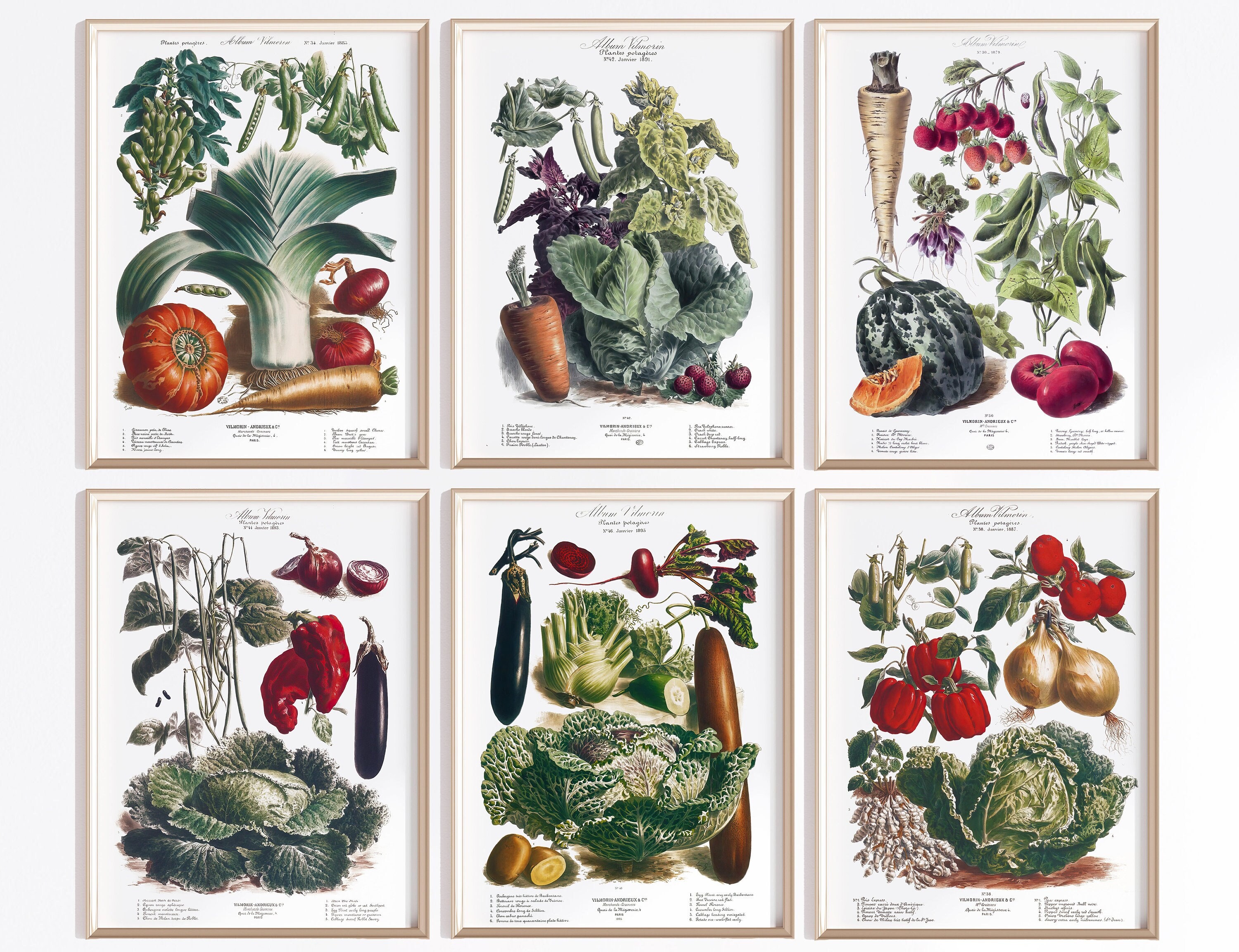 Printable Vegetable Art Set of 6 Digital Download Vegetable Poster ...