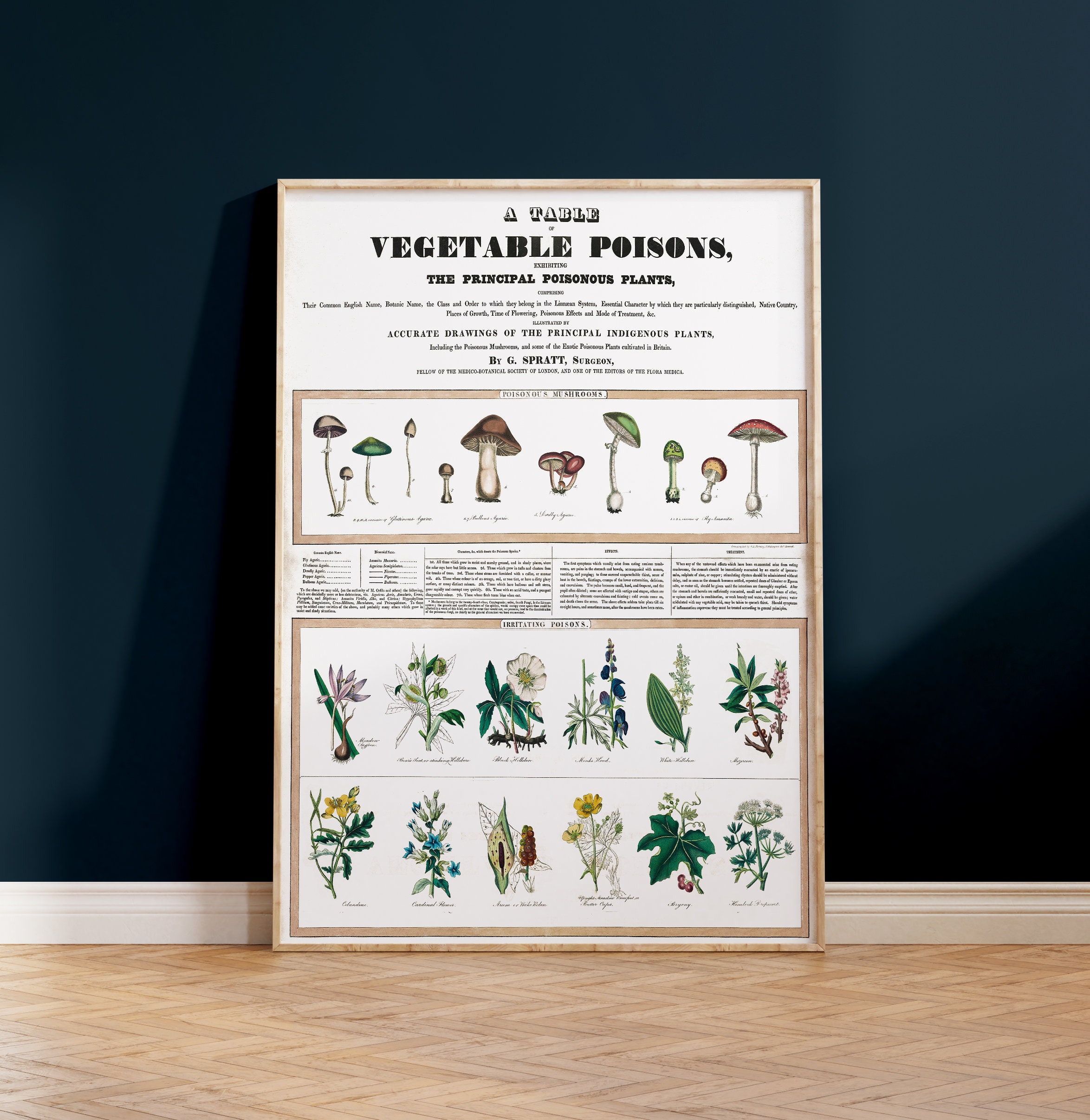 Poisonous Plants Chart Printable Digital Download Mushroom Art Prints ...